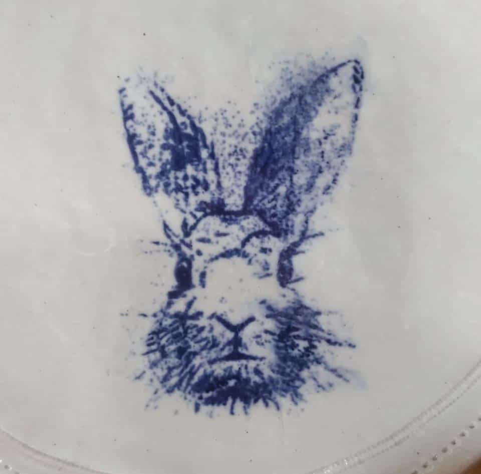 Rabbit Ceramic Studio on Moksi – Moksi